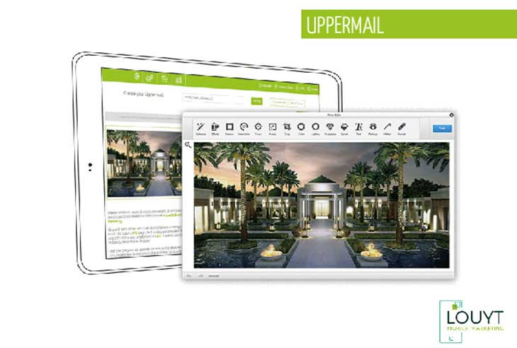 Franquia Louyt — R$ 20 mil